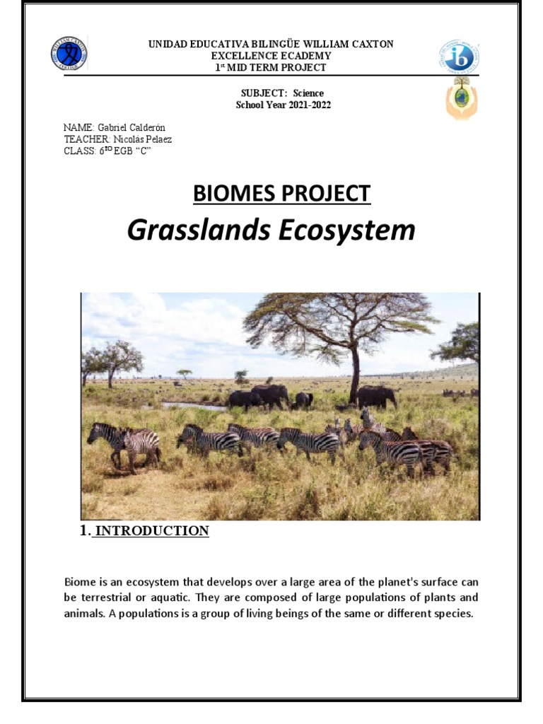 Grasslands Ecosystem Project Overview | PDF | Grassland | Savanna