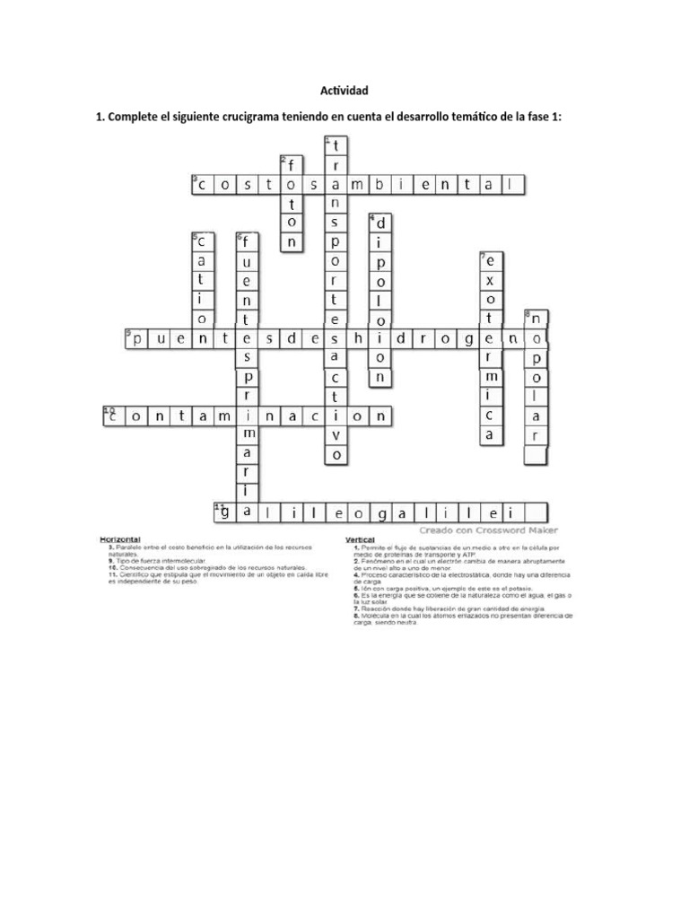Actividad Tefy | PDF | Sinapsis | Neurona