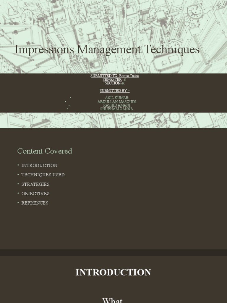 Impression Management Techniques | PDF