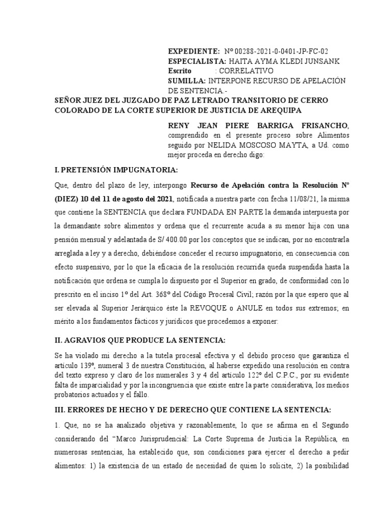 Apelacion Reny | PDF | Pensión alimenticia | Apelación