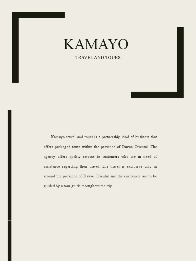 An Analysis of the Operations and Financial Performance of Kamayo Travel and Tours | PDF ...