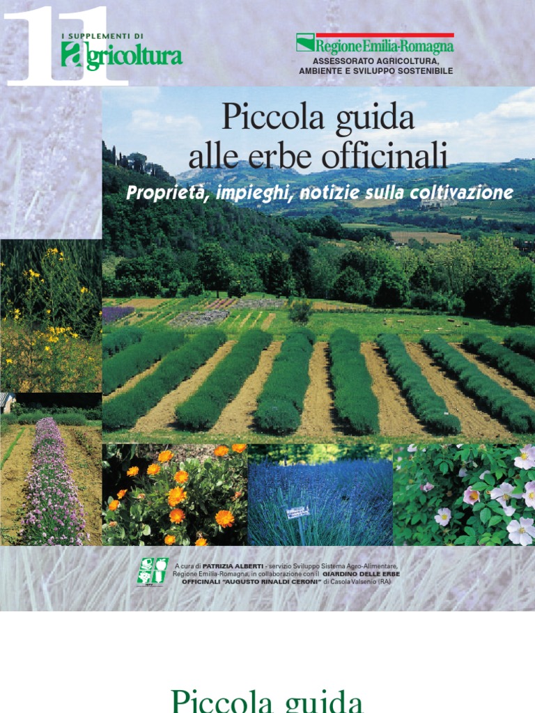 Piccola Guida Alle Erbe Officinali | PDF
