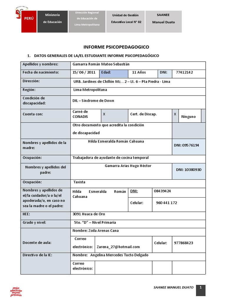 5 Informe Psicopedagogico 5d Mateo | PDF | Aprendizaje | Experiencia