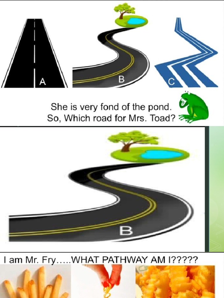 Levels and Pathways | PDF