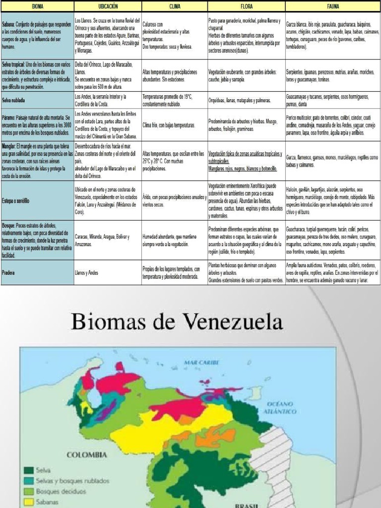Biomas de Venezuela | PDF