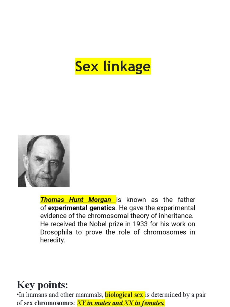 Ppt Sex Linkage Pdf Dominance Genetics Zygosity