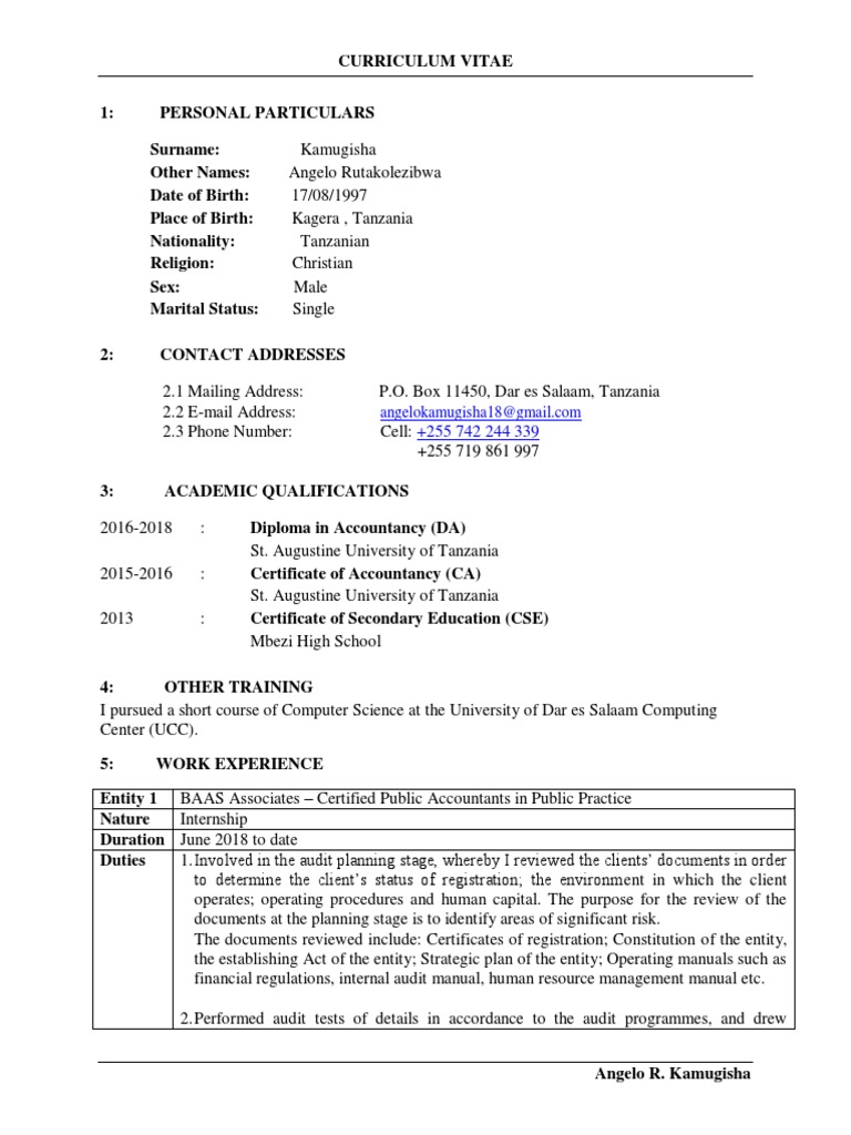 CV Tanzanian Accountant Angelo Kamugisha | PDF | Tanzania | Audit