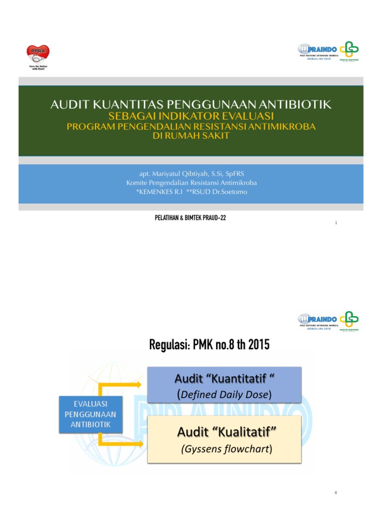 Audit Kuantitas Antibiotik DDD (Apt. Qibty) | PDF | Pengembangan Diri ...