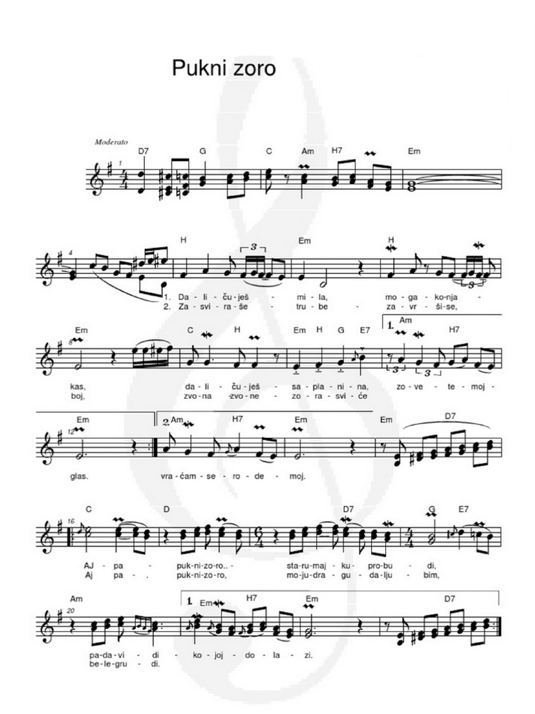 Magnifico Pukni Zoro | PDF