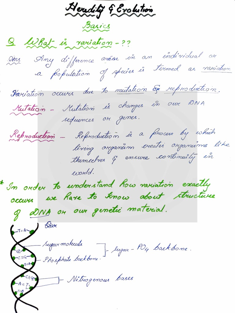 Heredity and Evolution - Hand Written Notes - Heredity and Evolution ...