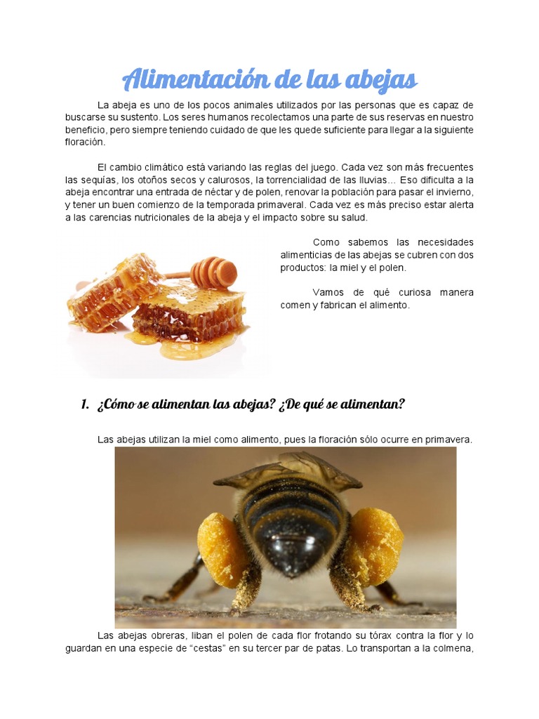 Alimentación de Las Abejas | PDF | Alimentos | Miel