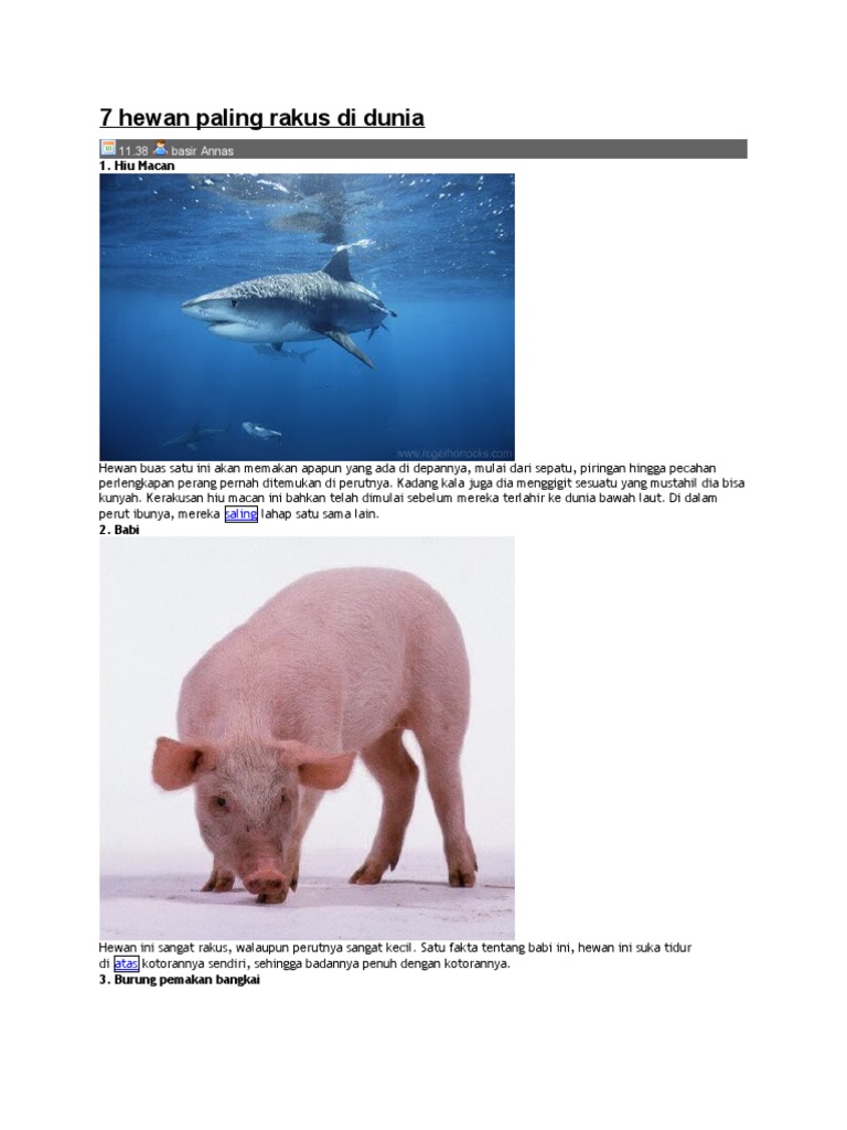 7 Hewan Paling Rakus Di Dunia | PDF