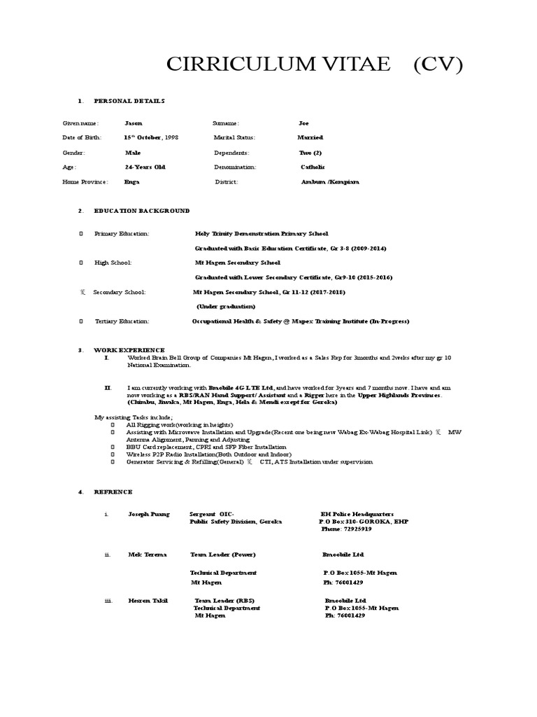 CV Jason Joe | PDF | Communication | Electronics