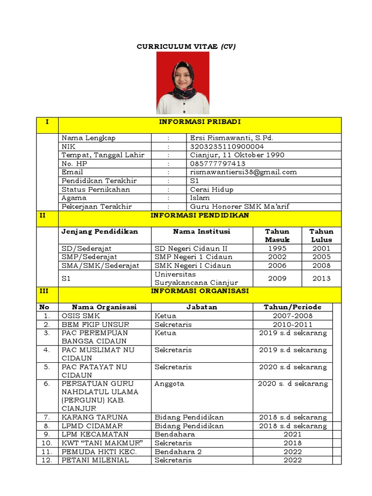 Curriculum Vitae Ersi Deal | PDF