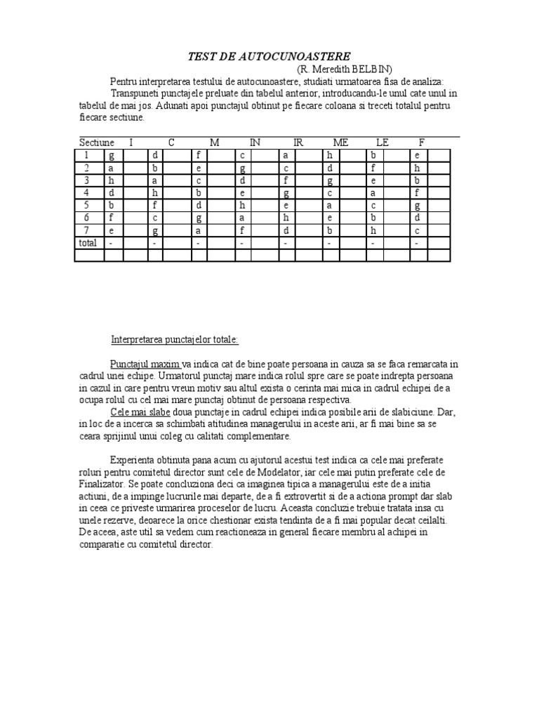 Interpretare Test Belbin-1 | PDF