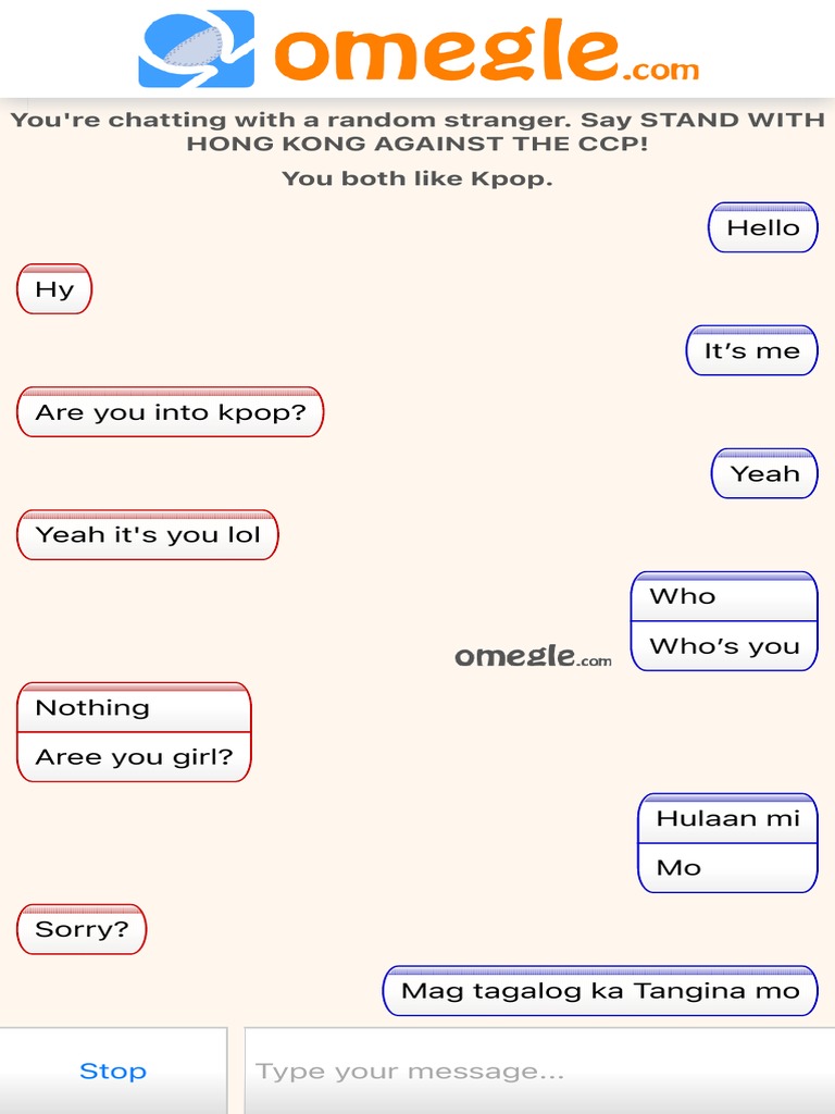 Omegle Talk To Strangers! | PDF