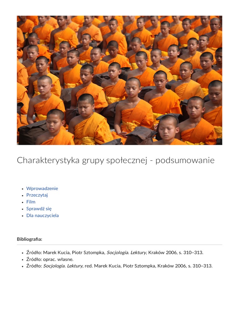 Charakterystyka Grupy Spolecznej | PDF