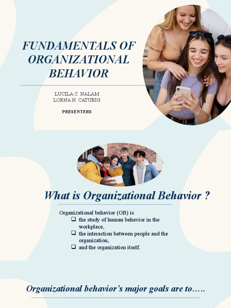 Fundamentals of Organizational Behavior | PDF | Organizational Behavior ...