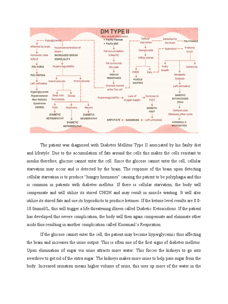 Pathophysiology DM Type Ii | PDF | Diabetes | Hyperglycemia