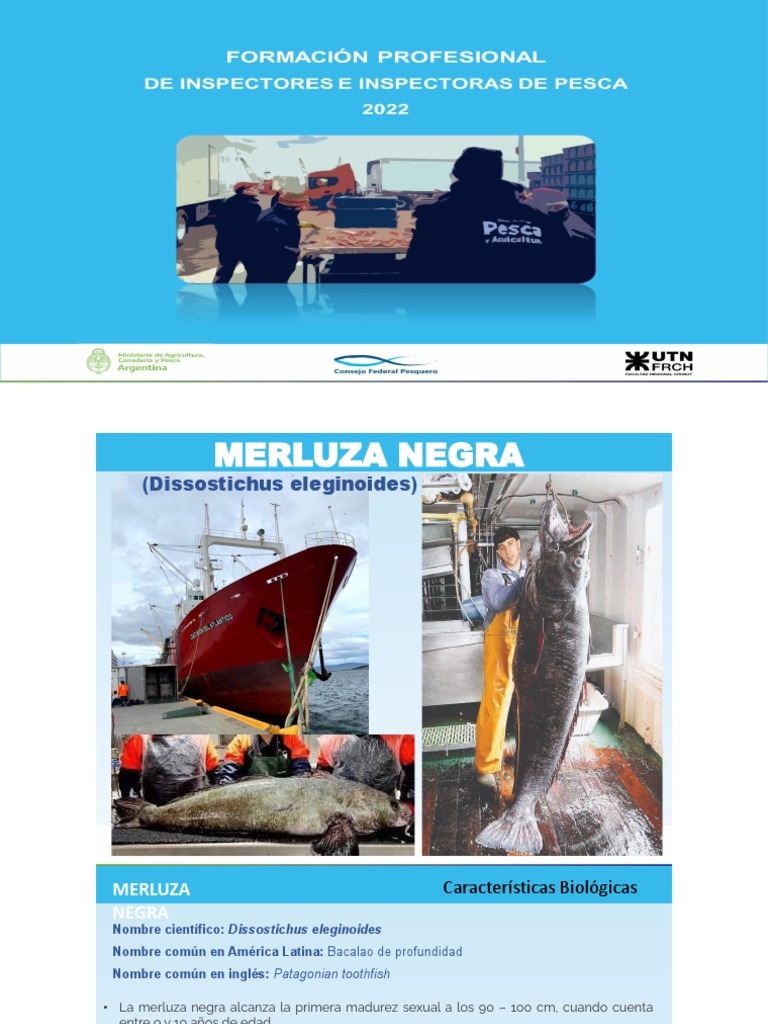 Unidad 4 Merluza Negra 4ta Parte | PDF | Pesquería | Pescado