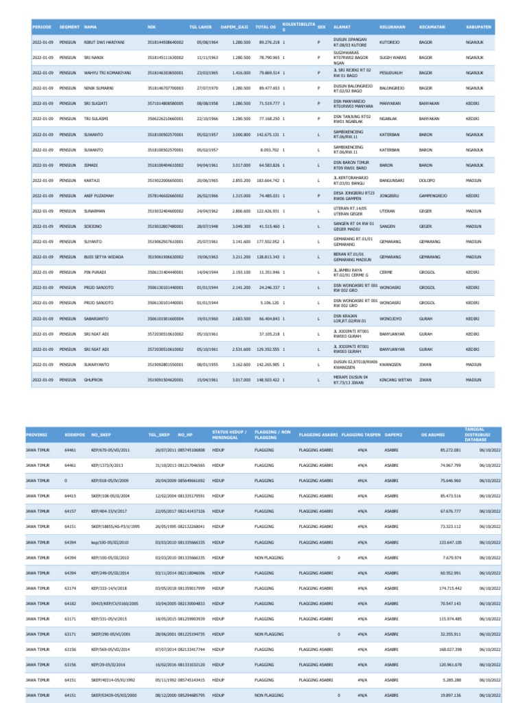 Distribusi Database Jatim | PDF