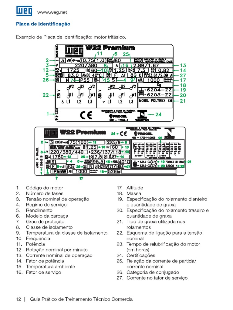 Placa de Identificação Motor WEG | PDF