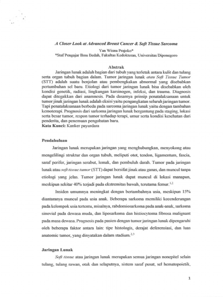 Artikel A Closer Look.... C13 | PDF