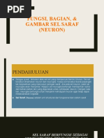 Bagian Neuron Dan Fungsinya | PDF