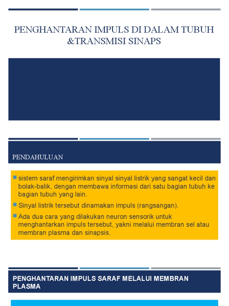 Penghantaran Impuls Di Dalam Tubuh &transmisi Sinaps | PDF