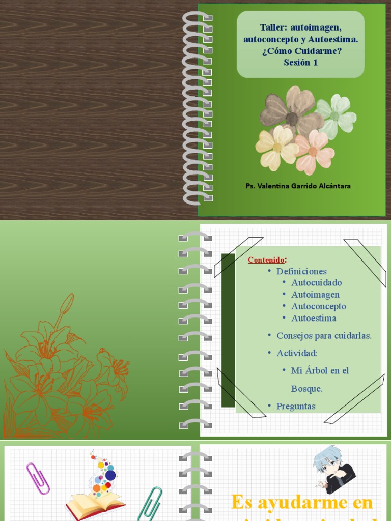 Sesion 1 Taller Autoestima | PDF | Autoestima | Referencia