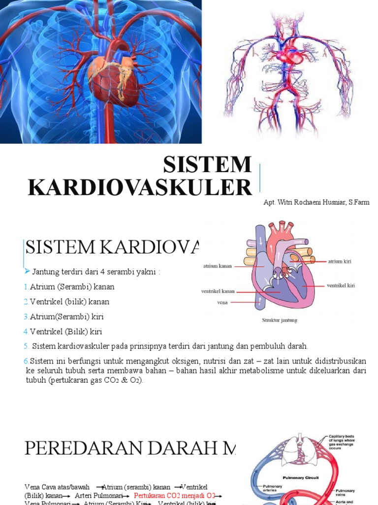 Sistem Kardiovaskuler | PDF