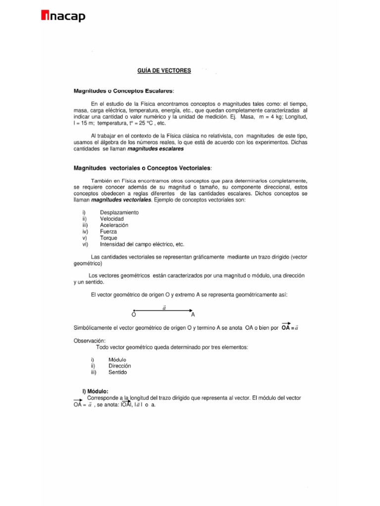 Guía De Vectores Pdf