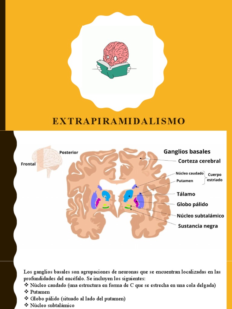Trastornos del Sistema Extrapiramidal | PDF | Distonia | Ganglios basales