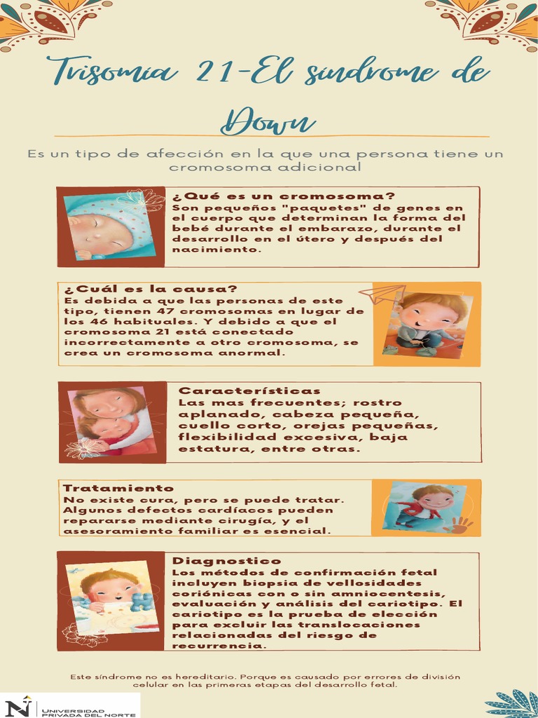 Trisomía 21 El Síndrome De Down Pdf