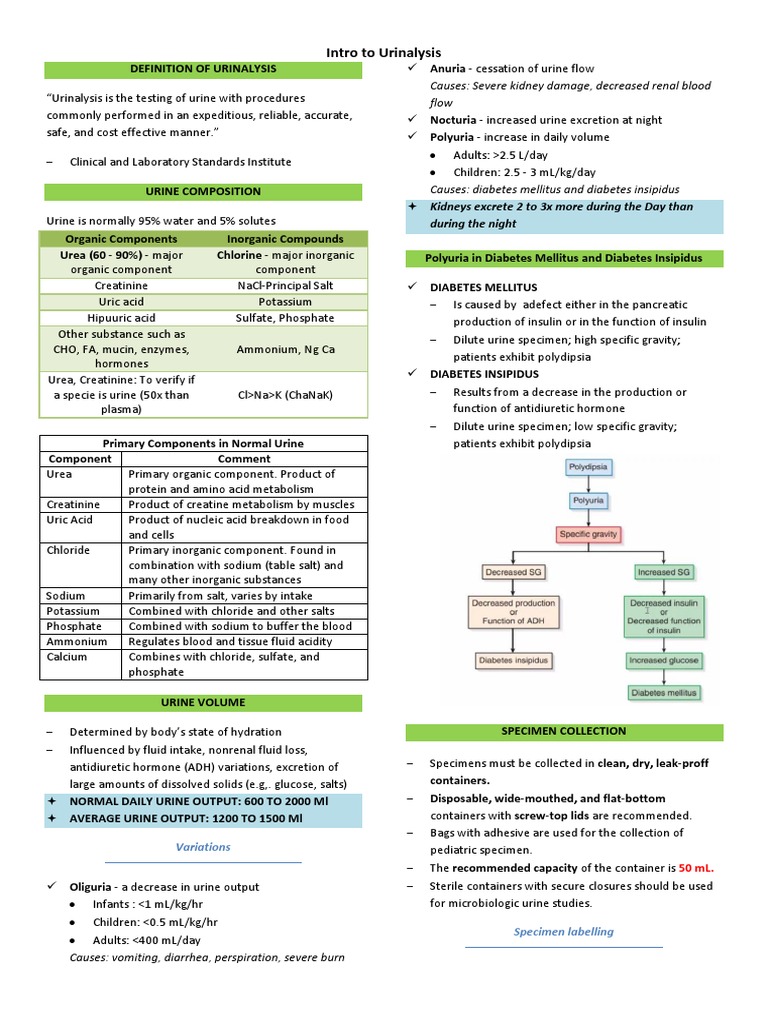 Comprehensive Guide to Urinalysis | PDF | Urine | Creatinine