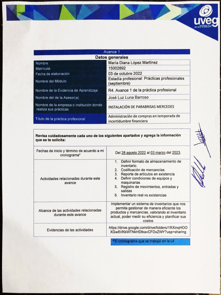 Avance 1 de La Práctica Profesional | PDF