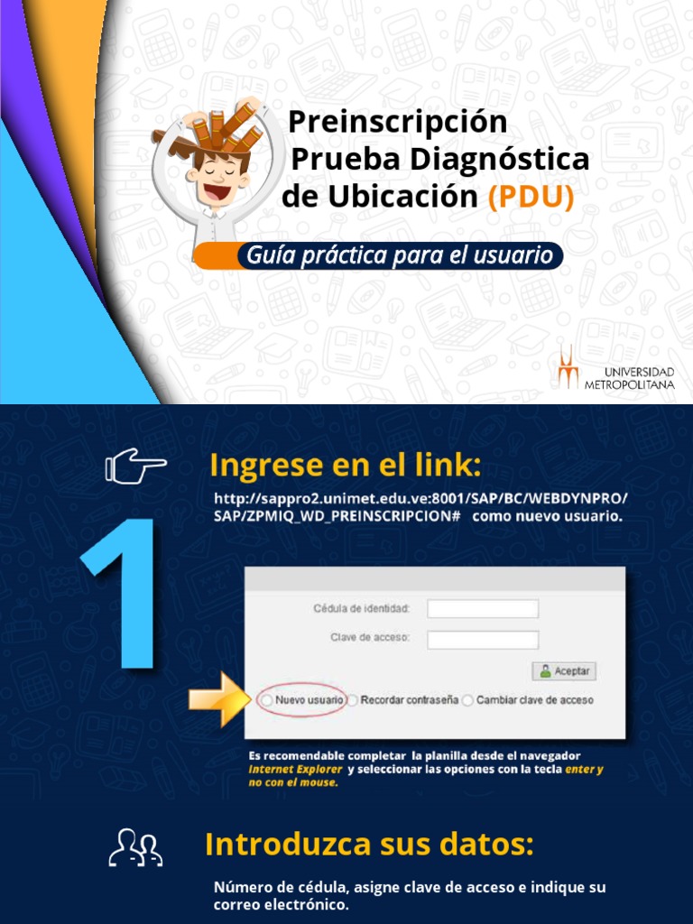 Instructivo PDU 2020 | PDF