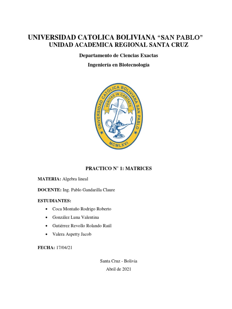 Practico N 1 Algebra Lineal-Matrices | PDF