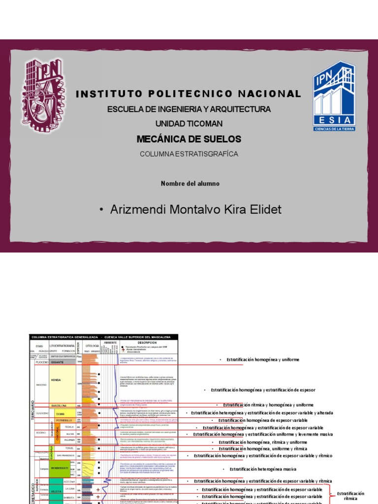 Tipos de Estratificación | PDF