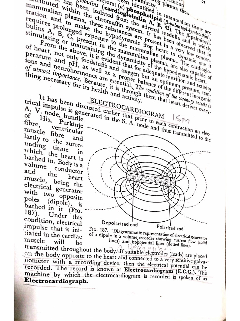 docscanner-21-oct-2022-17-33-pdf