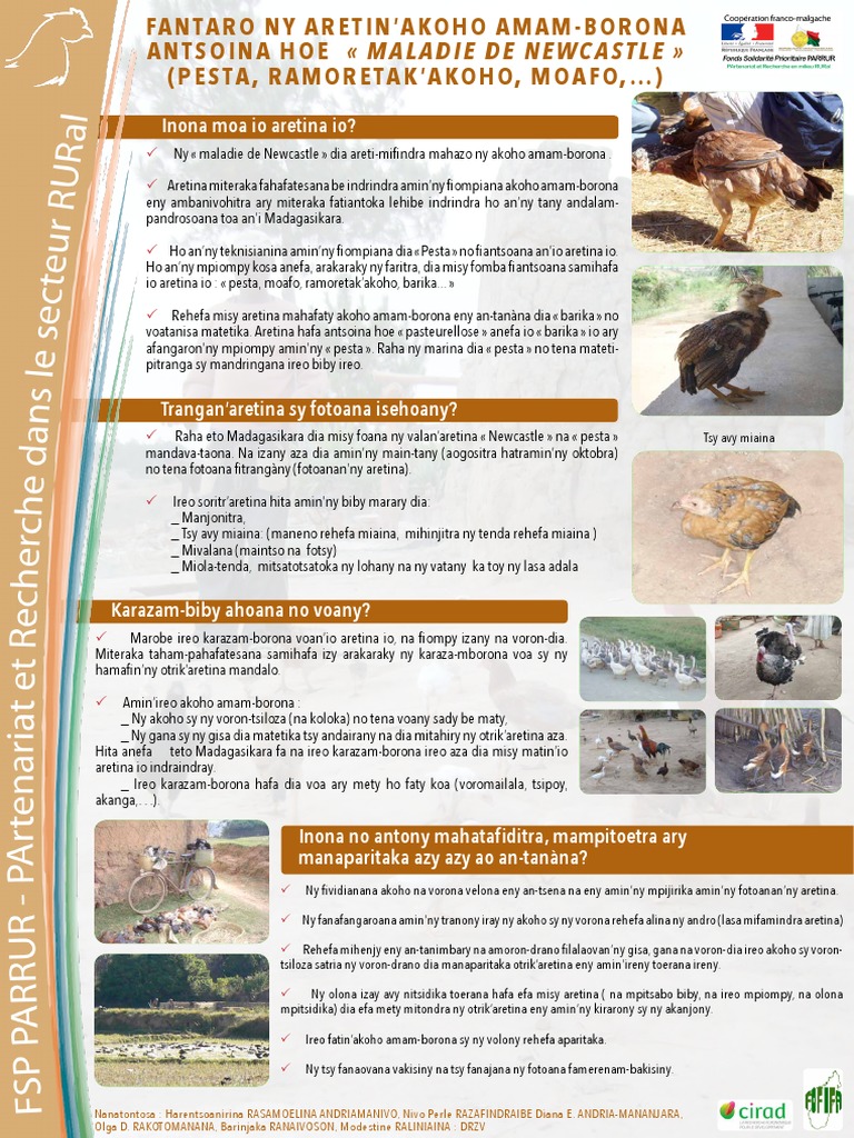 Aretin 27 Akoho | PDF