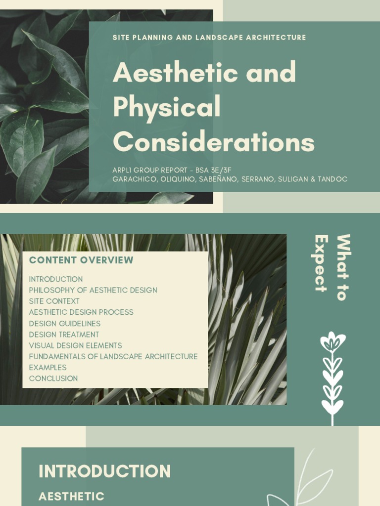Aesthetic and Physical Consideration Group Report Compressed | PDF ...