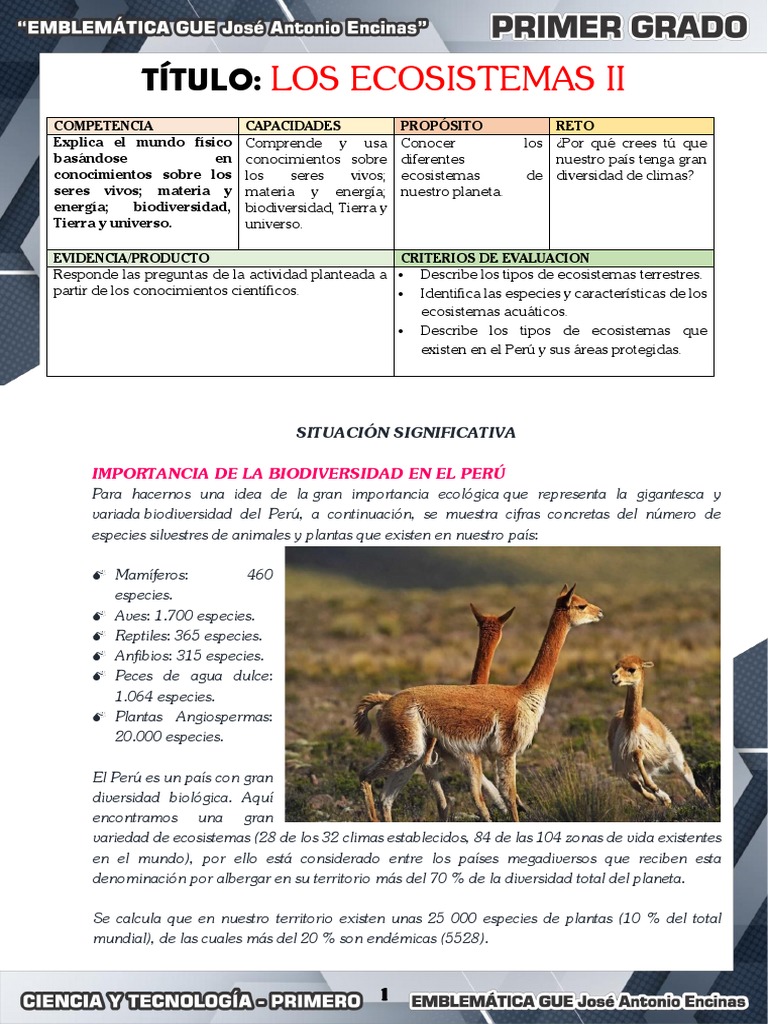Ecosistemas Terrestres I 1er Grado | PDF | Biodiversidad | Ecosistema