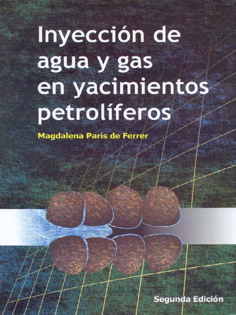 Magdalena Ferrer - Inyeccion de Agua y Gas | PDF