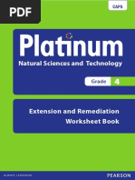 GRADE 7 MATHEMATICS INVESTIGATION TERM 2 2024_042056_075745 | PDF ...