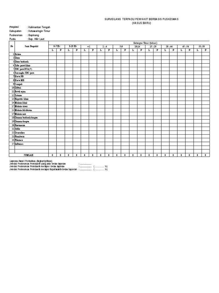 Form Laporan STP Puskesmas | PDF