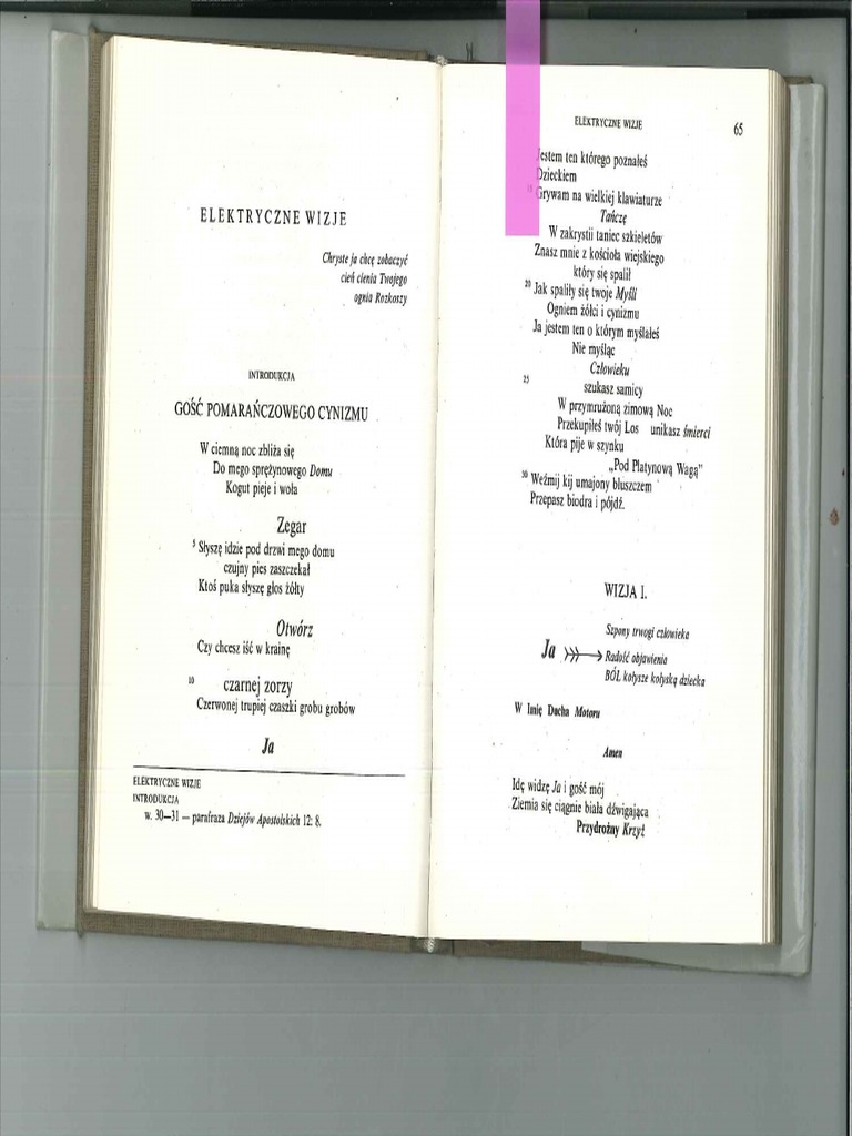 T. Czyżewski Elektryczne Wizje | PDF