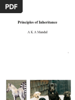 Principles of Inheritance and Variation-Notes | PDF | Dominance ...