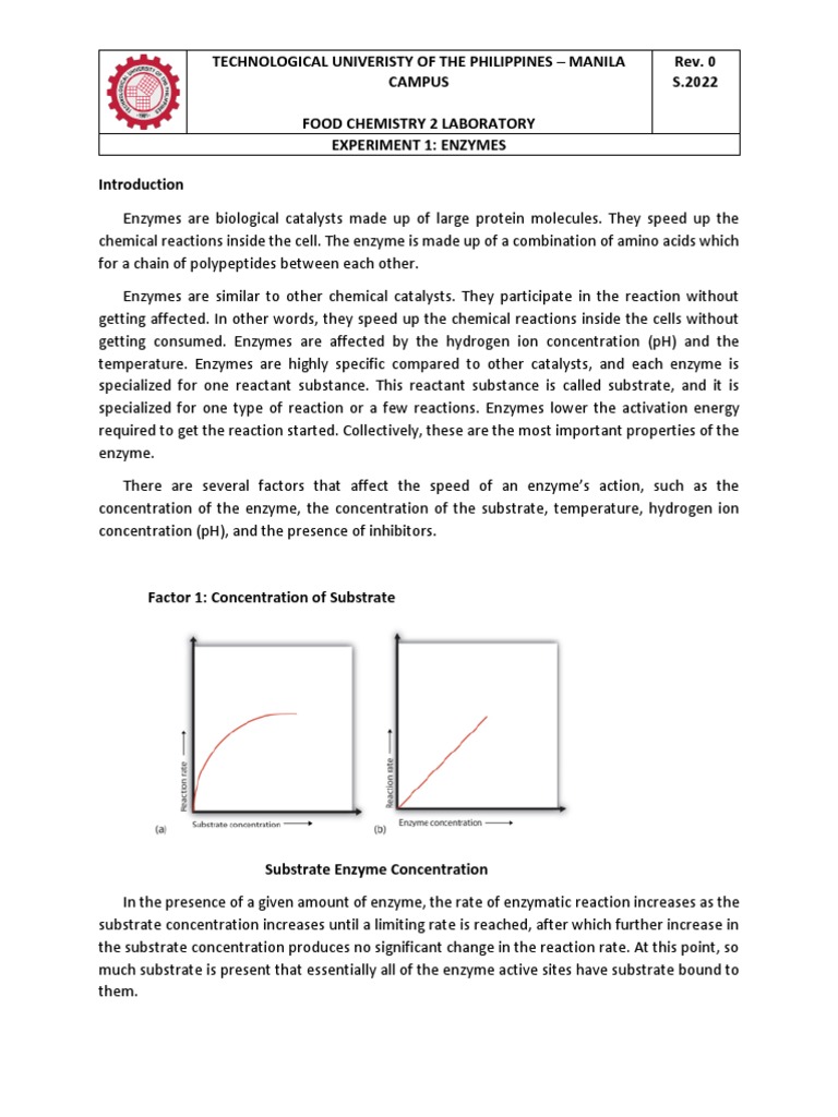 Food Chemistry - Experiment 1 | PDF | Enzyme | Ph