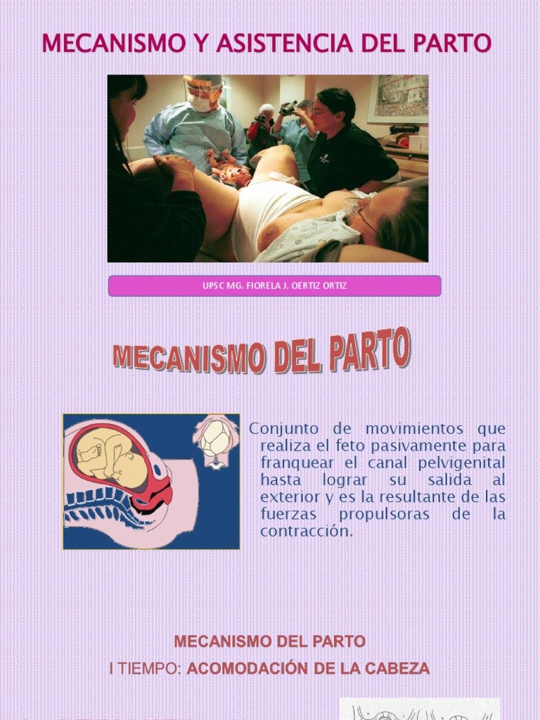 4 Mecanismo de Parto | Descargar gratis PDF | Parto | Pelvis
